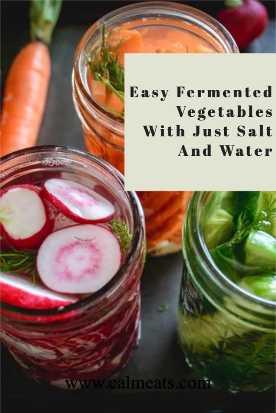 Fermented Vegetables Recipes - Calm Eats