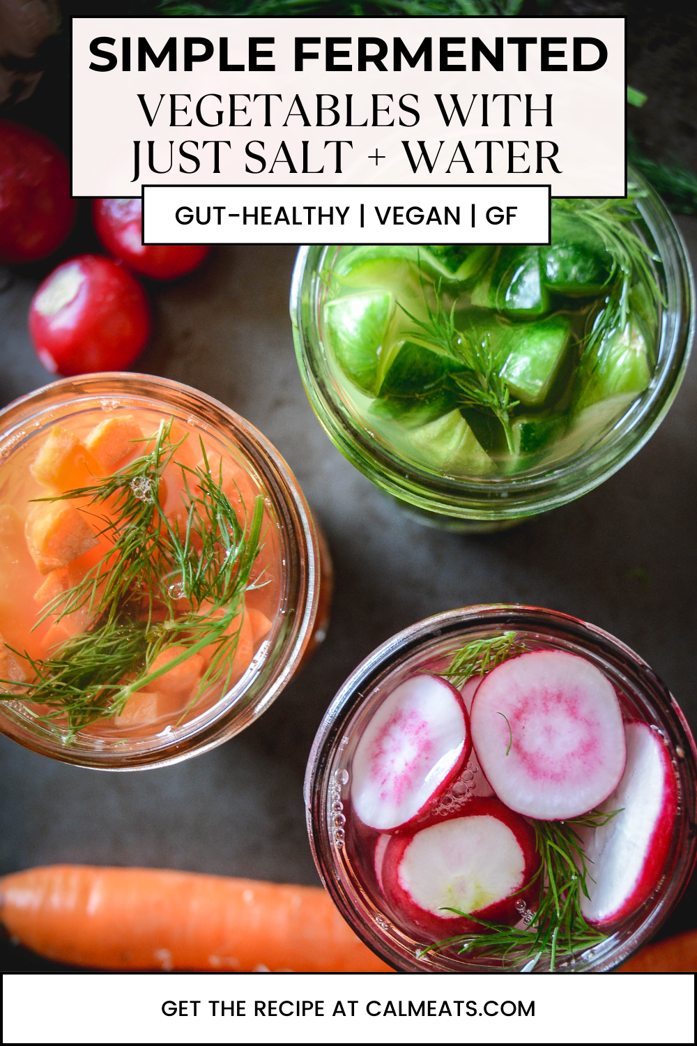 Fermented Vegetables Recipes - Calm Eats