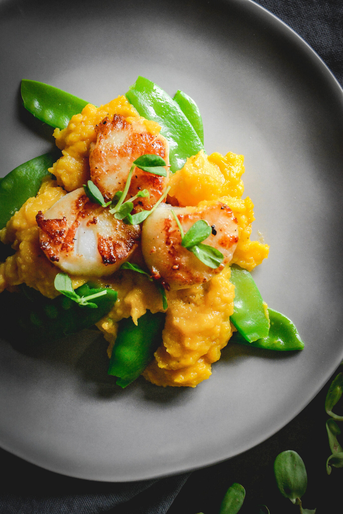 Scallops With Butternut Squash Puree And Snow Peas - Calm Eats