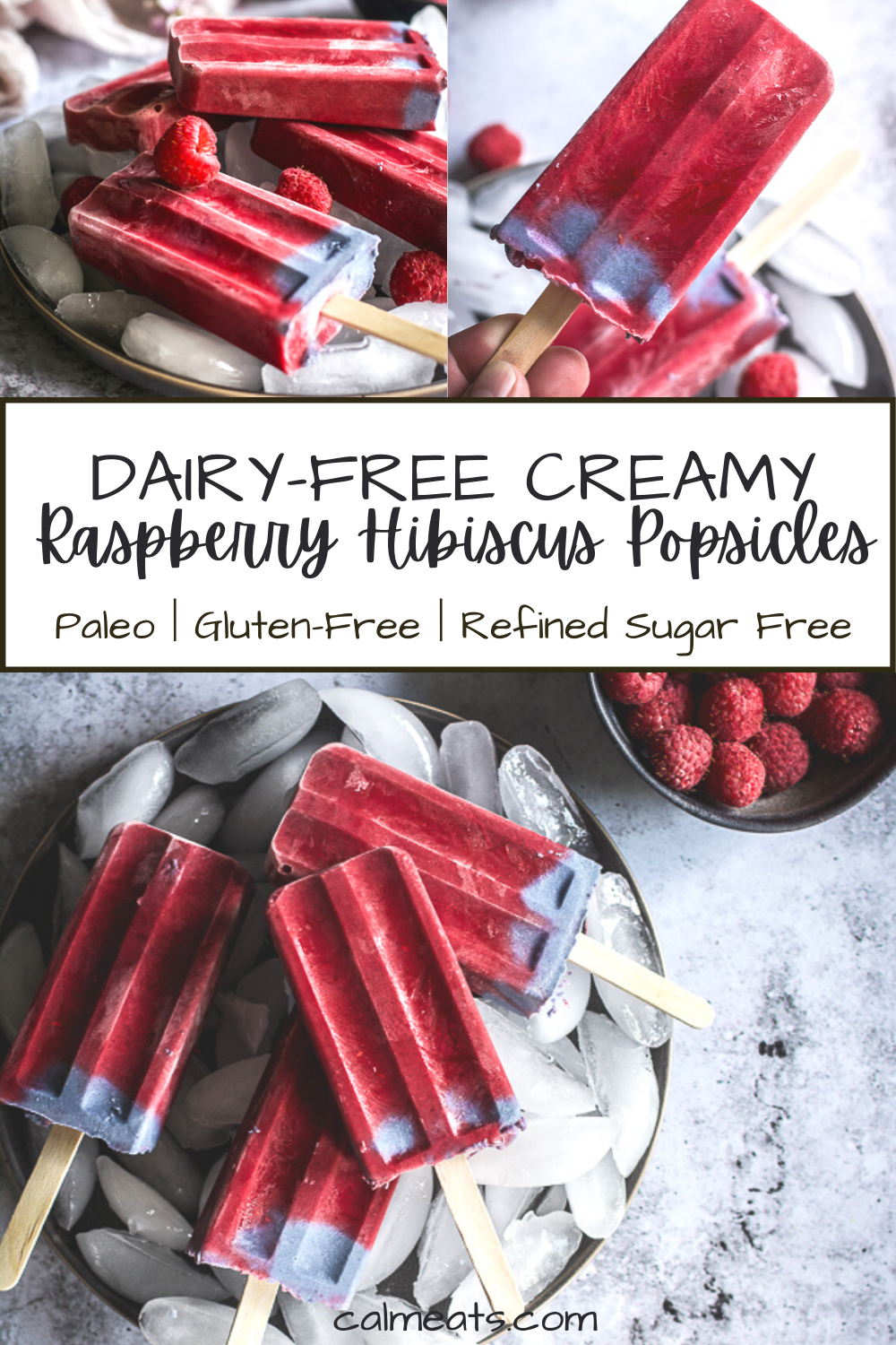 Dairy-Free Creamy Raspberry Hibiscus Popsicles - Calm Eats
