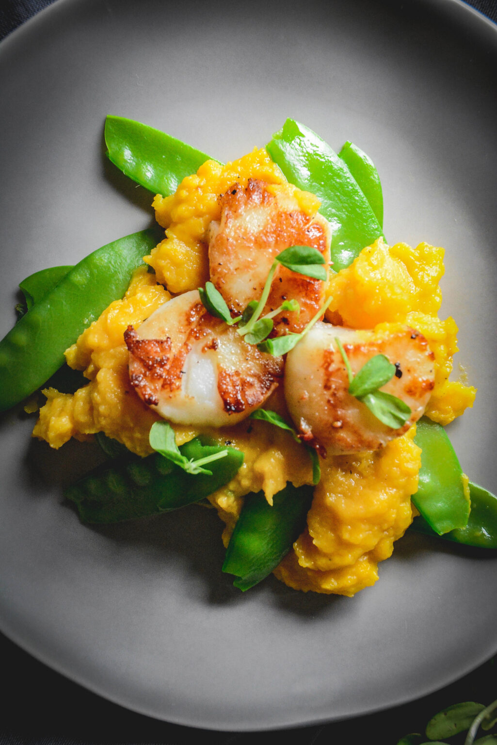 Scallops With Butternut Squash Puree And Snow Peas - Calm Eats